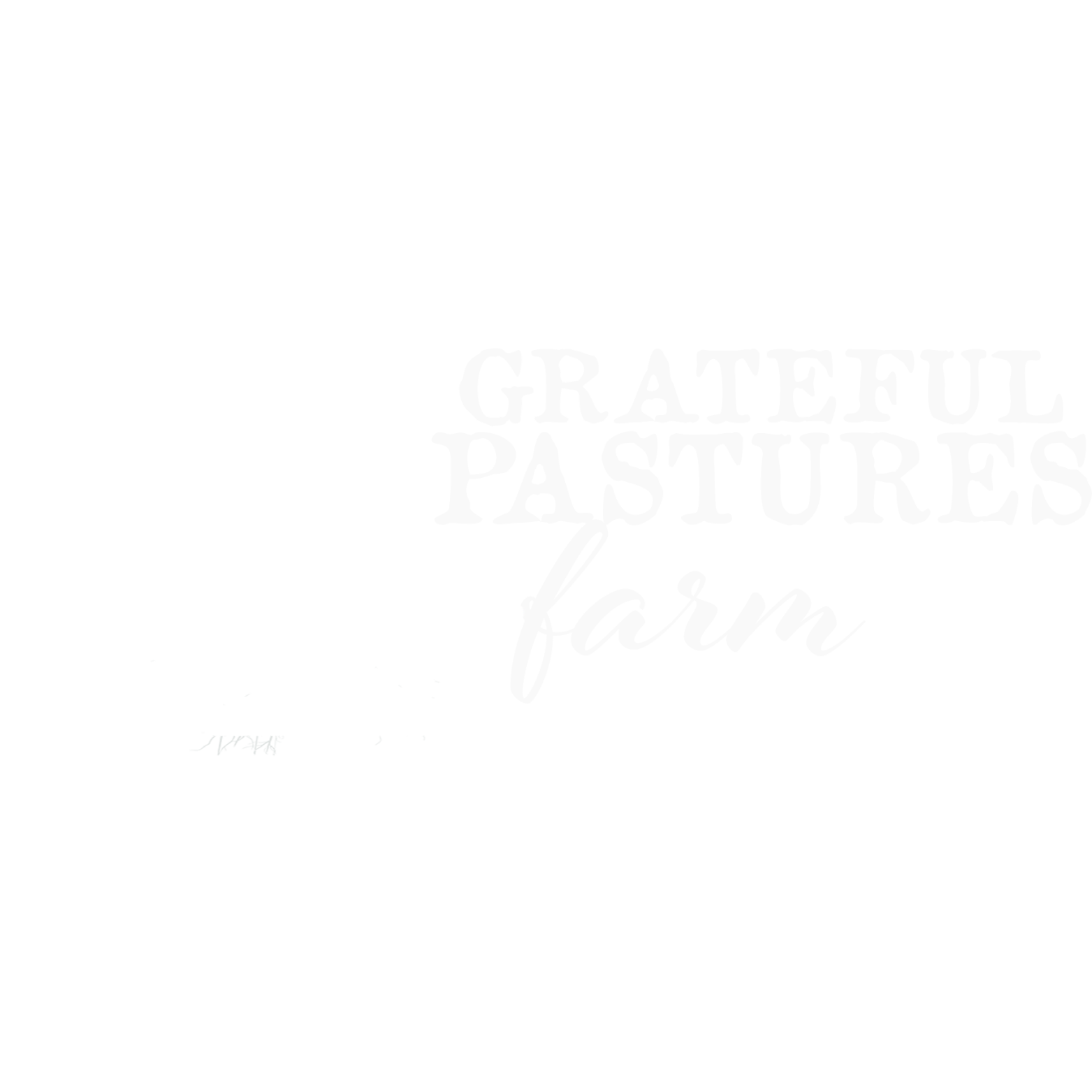 Organic Pastured Poultry Farm | Grateful Pastures Farm